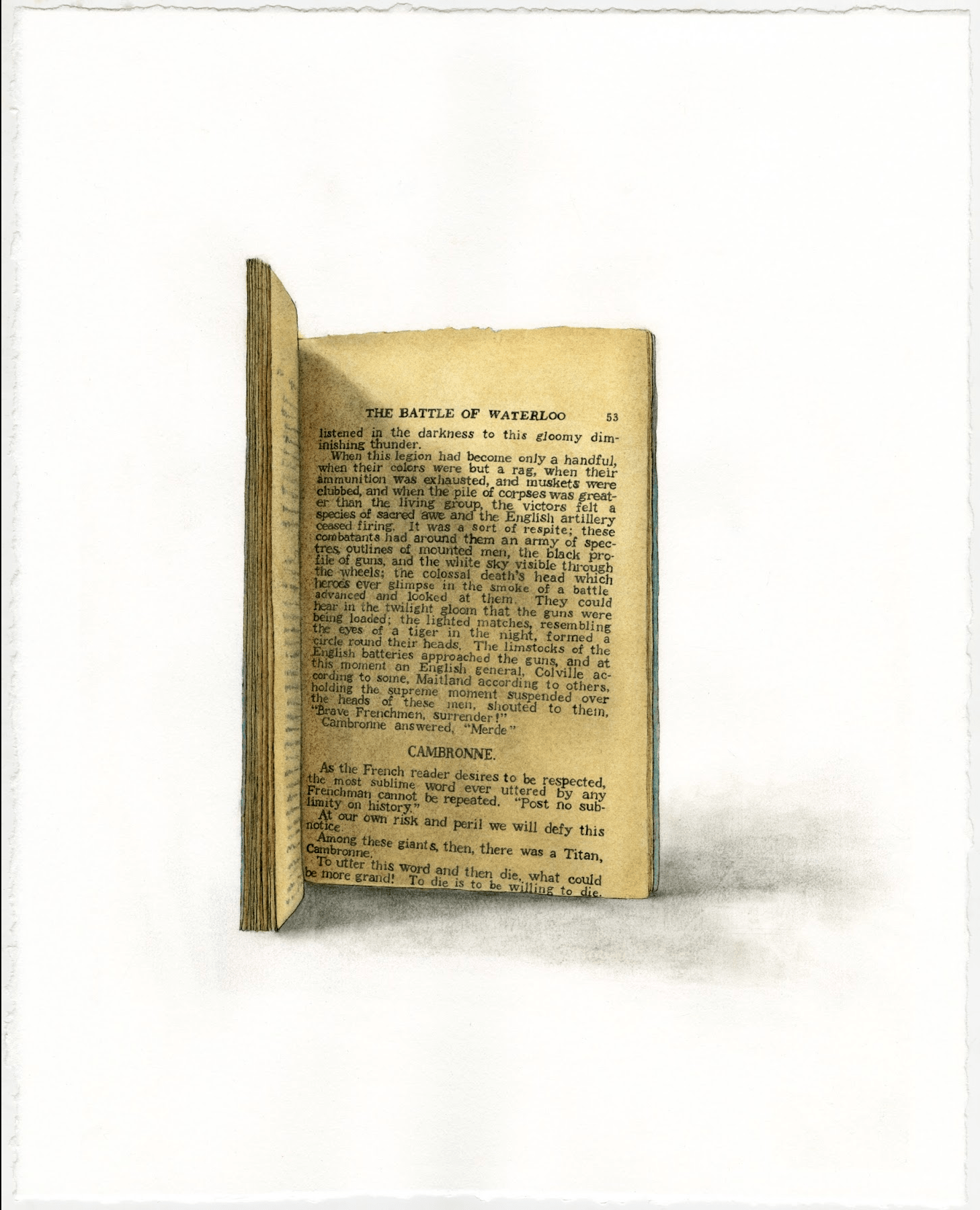 Angela Kallus: Waterloo - Athenaeum Review